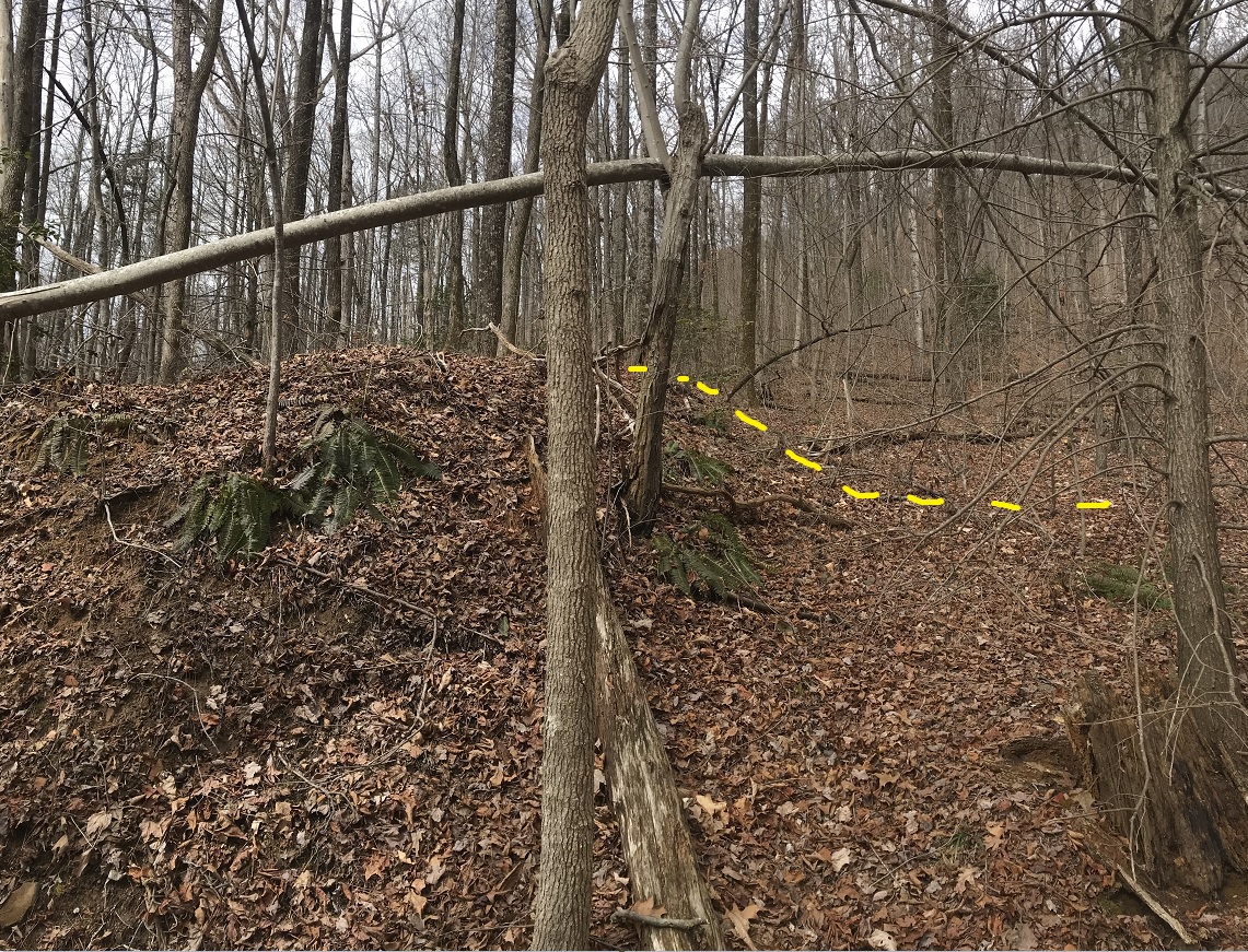 What does that landslide actually look like? - Philip S Prince, Geologist