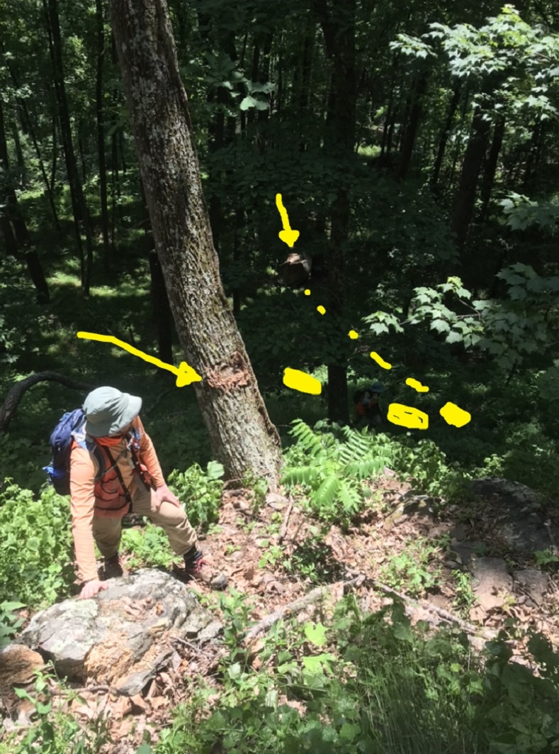 Field Experiences - Philip S Prince, Geologist