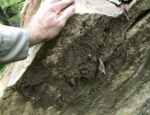 Physical Models – Philip S Prince, Geologist