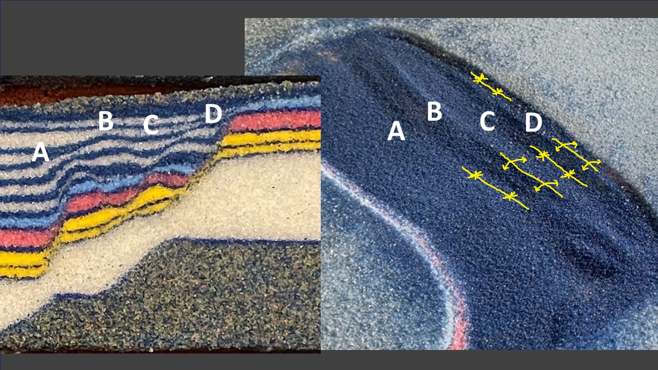 Formation of anticlines and synclines above sandbox model normal faults ...